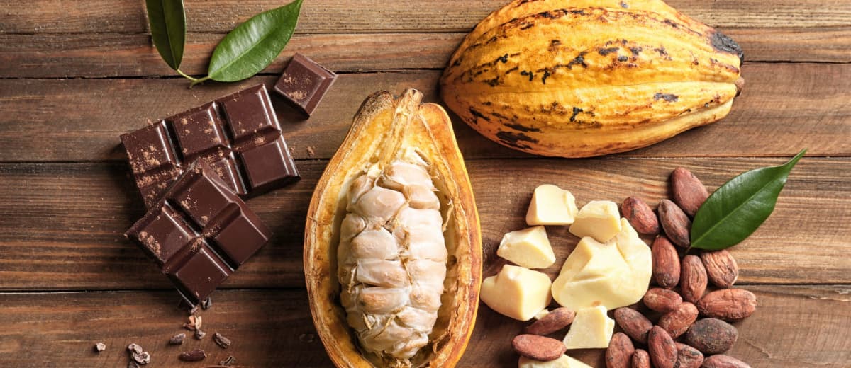 Maior Produtor De Cacau Do Brasil, Pará, Vai Sediar Festival De Chocolate
